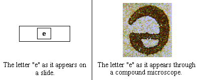 Answers to questions